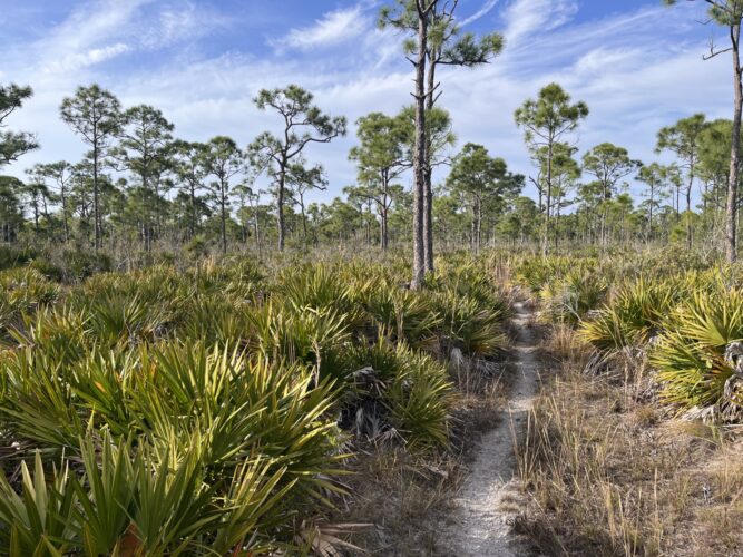 County Commissioners to vote on adding two Pine Island properties to ...